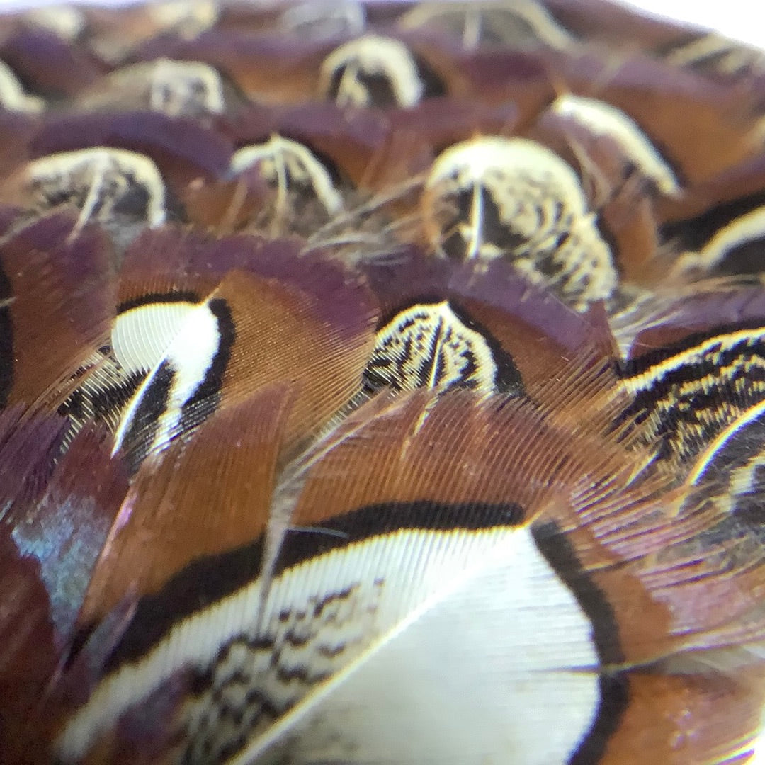 Chevron Hackles: Pheasant Shoulder Patches – www.jimmybuttons.com.au